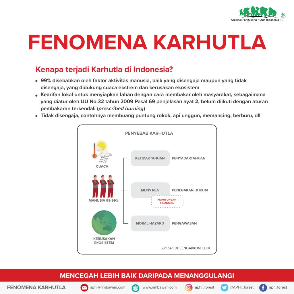 FENOMENA KARHUTLA: Kenapa terjadi Karhutla di Indonesia? - Asosiasi ...